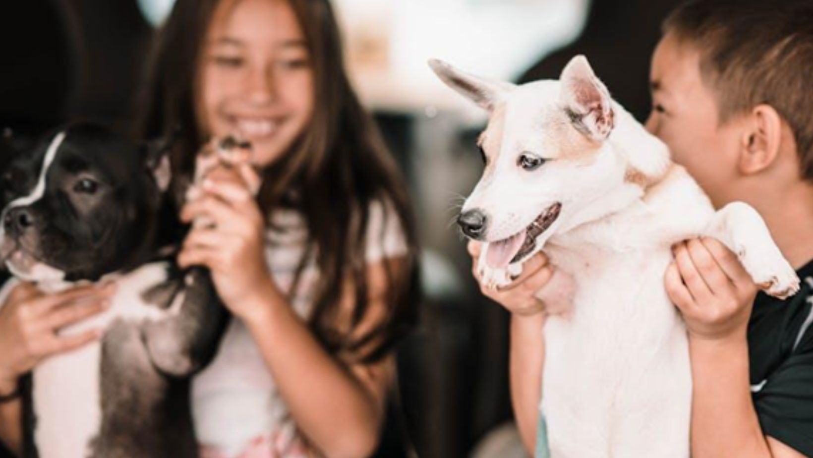 9 Steps for Creating a Holistic Wellness Routine for Pets and Children ...